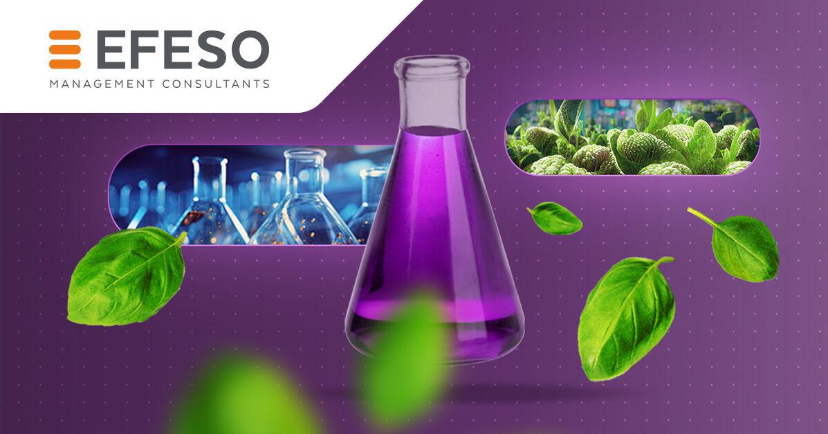 Produktevolution & Innovation - EFESO Management Consultants