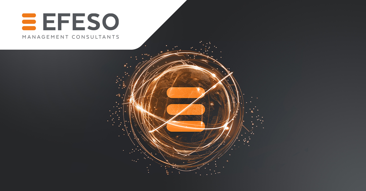 Product Profitability Excellence - EFESO Management Consultants